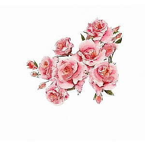 Puremax Foaming Hand Soap Refills with Essential Oils | Rose | Gentle, Moisturizing | Biodegradable Formula | Made in USA | 128 Fl Oz (1 Gallon) |