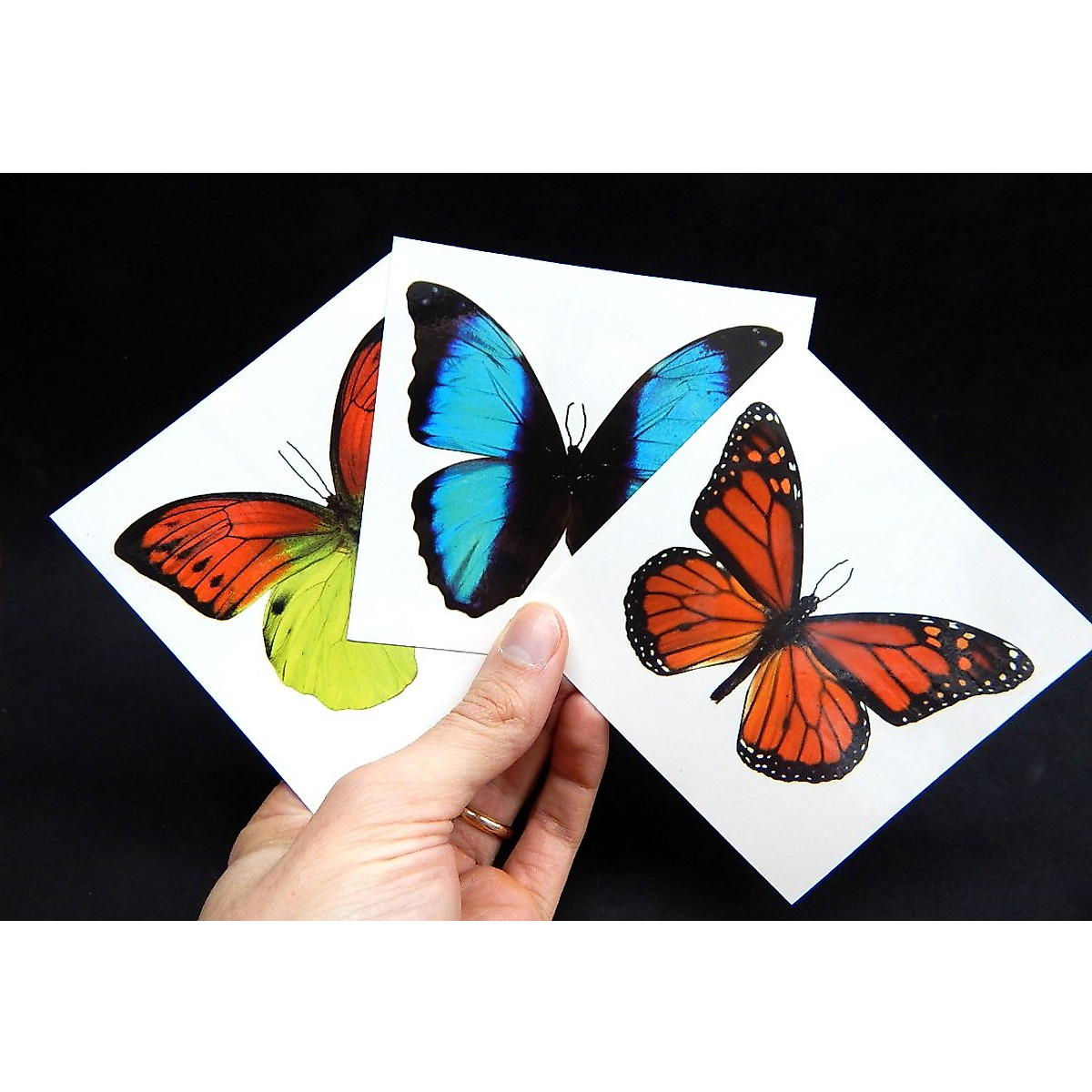 Large Butterfly Temporary Tattoos by Butterfly Utopia (6 Sheets)