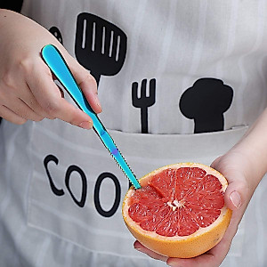 Rainbow Grapefruit Spoons 5 Pieces Set, 4 Stainless Steel Grapefruit Spoon And 1 Grapefruit knife With Titanium Plating, Grapefruit Utensil Set, Serrated Edges Spoon pack of 5 (Rainbow)