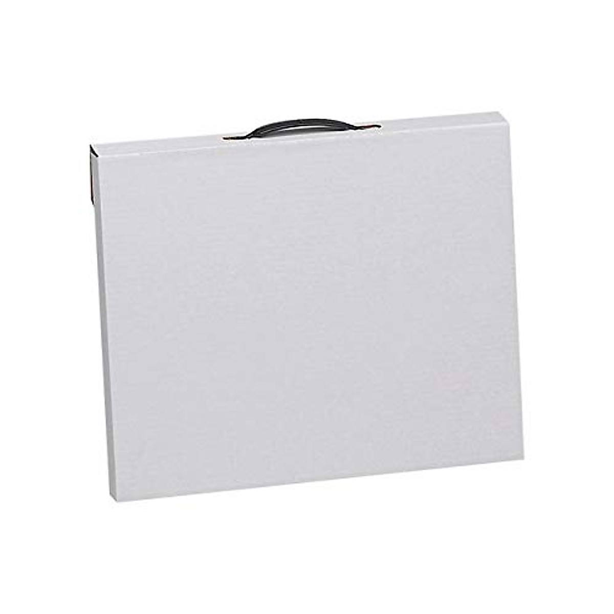 Flipside Art Portfolio Storage Case, Corrugated, 20 x 26 Inches, White