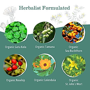 Earth Mama Organic Skin & Scar Balm |C-Section Recovery Skin Care, Pregnancy Stretch Mark Scar Cream with Organic Jojoba Oil, Tamanu Oil & Gotu Kola