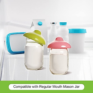 KLOWOAH Fridge Deodorizer Baking Soda Holder Compatible with Regular Mouth Mason Jar Lids,Refrigerator Reusable Mason jar lids (Pack of 4)