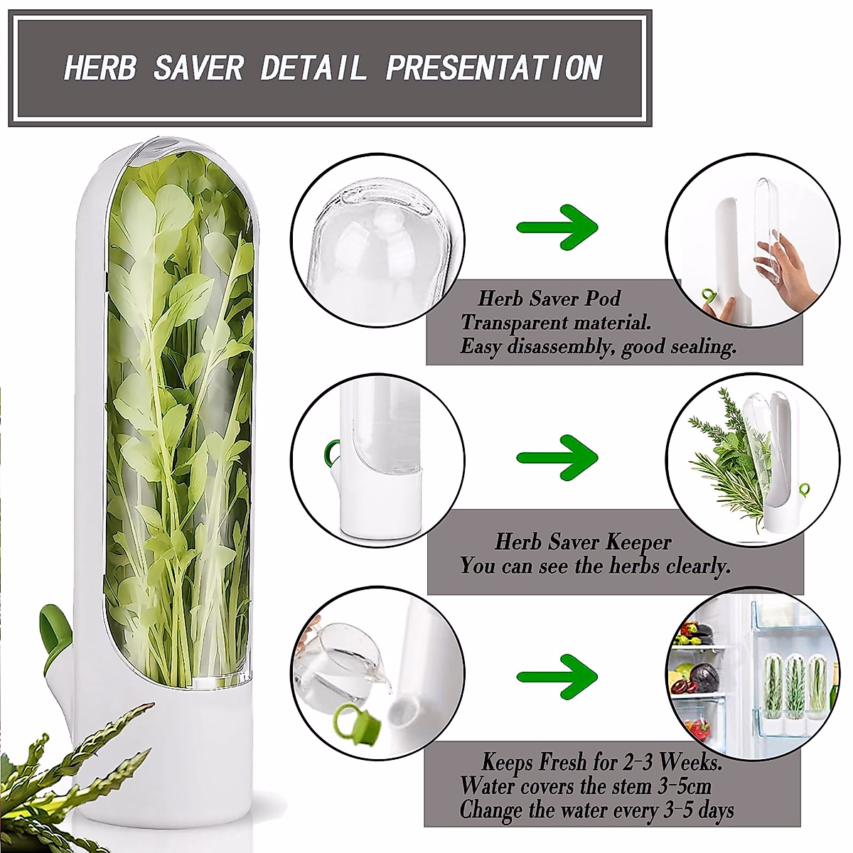 Herb Saver, Herb Keeper for Refrigerator, Cilantro Containers for Refrigerator, Herb Saver Pod, Fresh Herb Keeper for Cilantro, Parsley, Asparagus, Keeps Vegetables for 2-3 Weeks (3PCS Herb Saver)