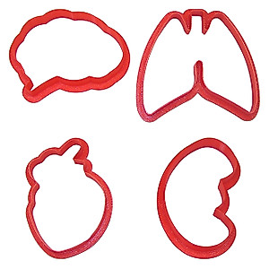Anatomical Body Parts Cookie Cutter 4 Pc Set – Kidney, Heart, Lungs, Brain Plastic Cookie Cutters, Made in USA