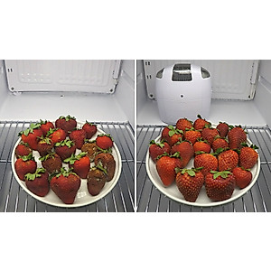 Berry Breeze Activated Oxygen Refrigerator Deodorizer-2023Model