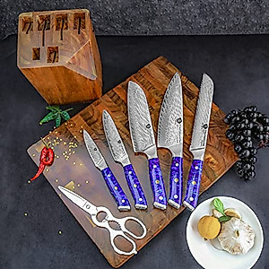 WILDMOK Damascus Kitchen Knife Set with Block Premium Quality 7 Pieces Kitchen Knife Set Razor-Sharp with Ergonomic Handle (7pcs Knife Block Set Blue Resin Handle)