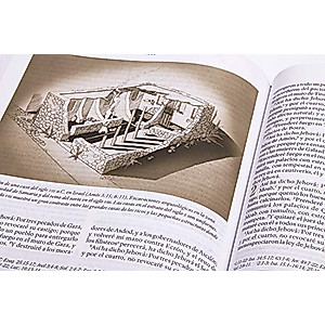 Biblia Reina Valera 1960 de Estudio para mujeres vino tinto-fucsia, símil piel | RVR 1960 Women Study Bible, Burgundy-Fuschia LeatherTouch (Spanish Edition)