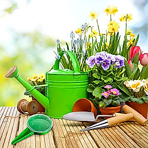 4 Pieces Hand Dibber Sowing Dispenser Set, Adjustable Garden Hand Tool Flower Sow Traditional Sets, Hand Bulbs Stainless Steel Dibbers