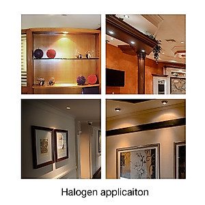 G9 25W Halogen Bulb T4 G9 Halogen Bulbs 25W T4 JCD G9 Bi-pin Base 25 Watt G9 120V 25 Watt Bulb Halogen Bulb,Clear,Warm White 2700K,10 Pack