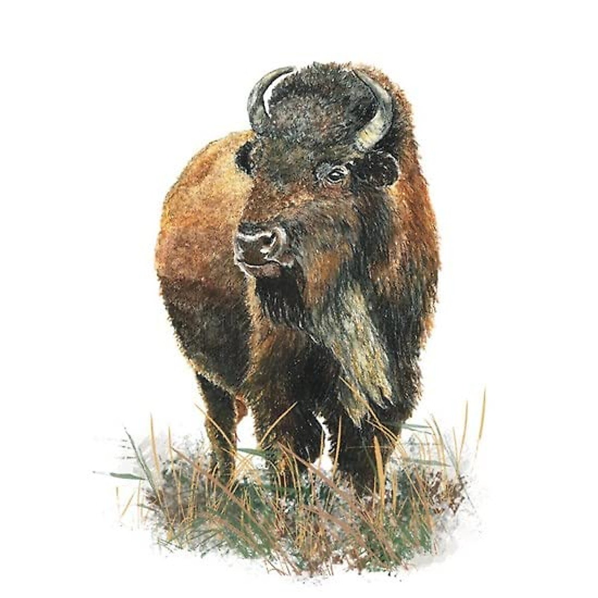 CafePress Watercolor Buffalo Bison Animal Art Mugs Ceramic Coffee Mug, Tea Cup 11 oz