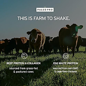 PaleoPro Protein Powder Grass-Fed, Pastured, Cage-Free Protein | Gluten Free, Dairy Free. No Sugar, Soy, Grains or Net Carbs | Paleo & Keto Friendly - 15 Servings (16 oz, Ancient Cacao)