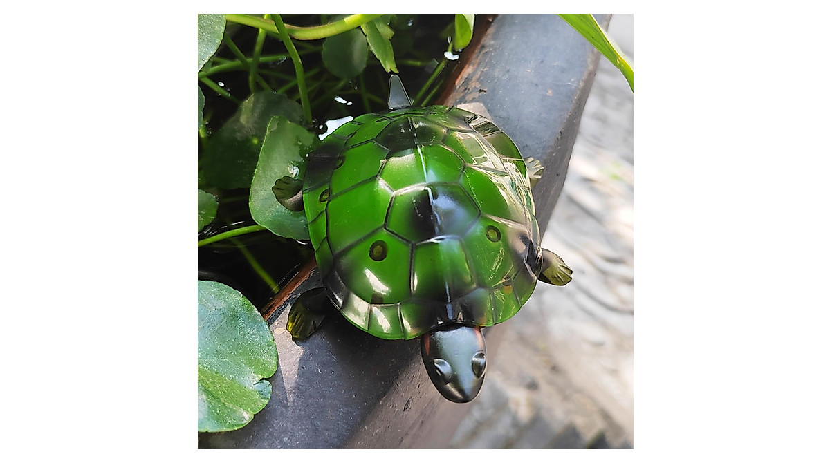 Tipmant RC Turtle Toy - Fun Remote Control for Kids