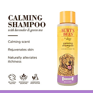 Burt's Bees for Pets Natural Calming Dog Shampoo with Lavender and Green Tea | Cleansing Lavender Dog Shampoo | Cruelty Free, Sulfate & Paraben Free, pH Balanced for Dogs - Made in USA, 16 oz