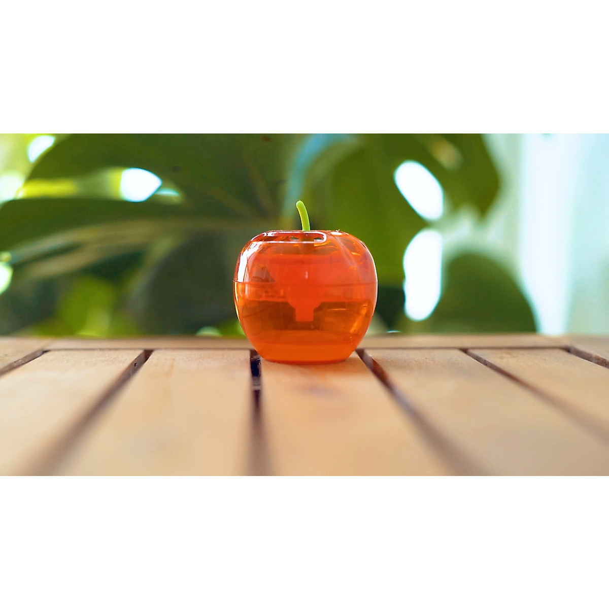 Raid Fruit Fly Trap Bundle Fruit Fly Traps for Kitchen, Fly Trap Indoor Use, Fly Traps, Fly Killer, Fly Catcher for Food Prep Areas, Gnat Trap Indoor Use (6 Pack)' (6 Pack, 12 Total Traps)