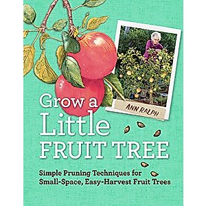 Grow a Little Fruit Tree: Simple Pruning Techniques for Small-Space, Easy-Harvest Fruit Trees