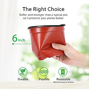 VIVOSUN 50pcs 6 Inch Planter Nursery Pots, Plastic Pots for Flower Seedling