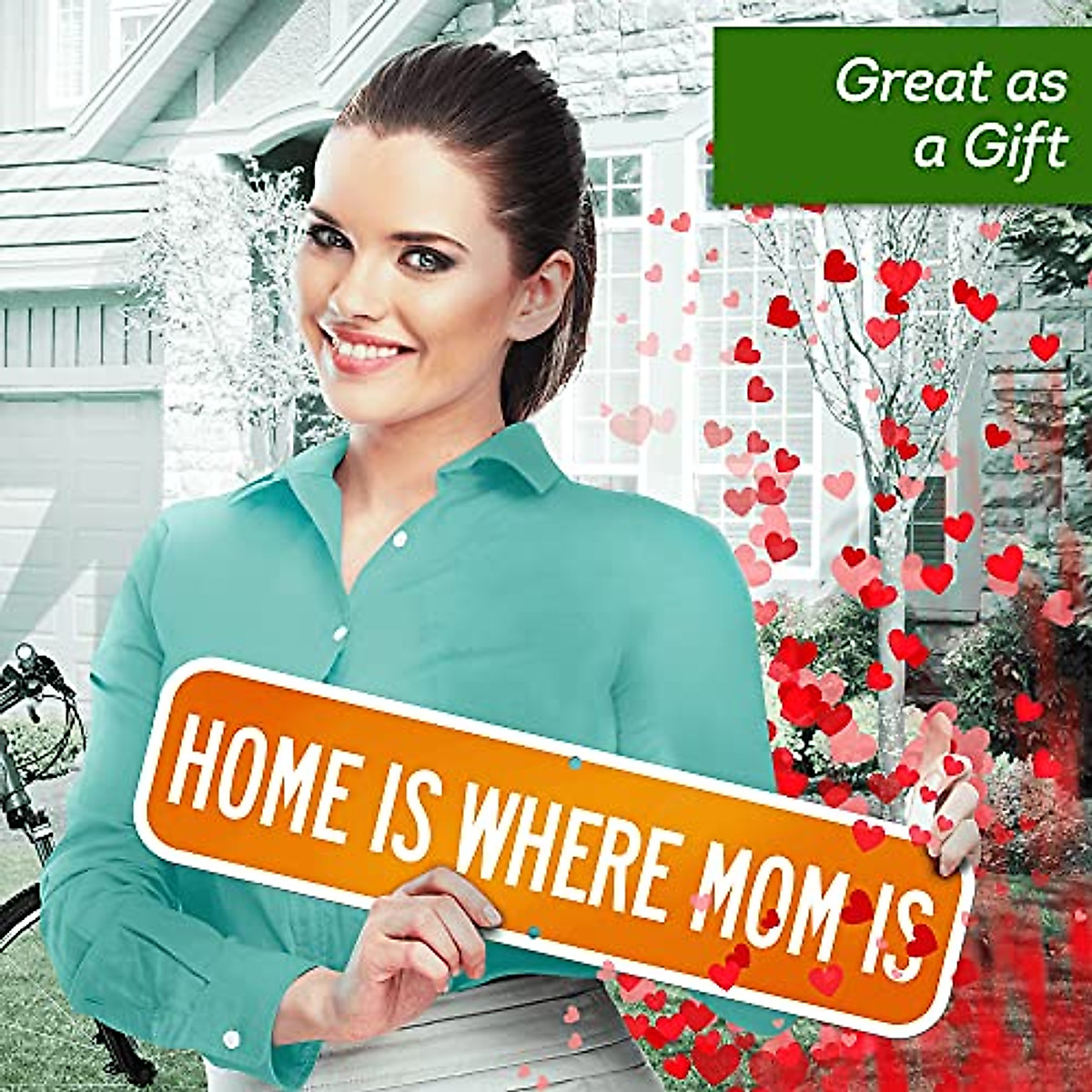 Street Sign, Custom Road Signs, 8 Colors, 6x24 Inch, Thick Rust-Free AlumaBond, (Classic) Made in USA By My Sign Center