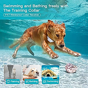 Bousnic Dog Shock Collar with Remote - for Large Medium Small Dogs (10-120lbs) Dog Training Collar Rechargeable Waterproof with 3 Humane Modes and 1000ft Control Range