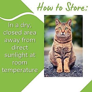 NutraVital - Biotic for Cats, Cat Probiotic and Prebiotic Supplement, Cat Essentials for Indoor Cats & Outdoor, Cat Supplements for Digestive & Immune System Support, Cat Probiotic Powder, 40 g