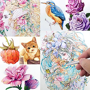 FUNLAVIE Colored Pencils 48 Coloring Pencils Premium Professional Art Drawing Pencil for Adults Coloring Book