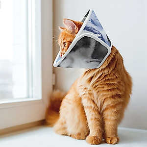 Siberian Huskies Soft Dog Cone Collars Protective Adjustable Cat Recovery Collar to Stop Licking L