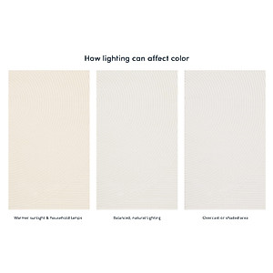 Revival Rugs Record 8'x10’ Washable Area Rug for Living Room Bedroom - 100% Recycled Oeko-TEX Certified, Medium Pile, Beige, Cream