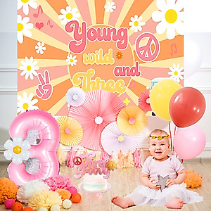 Young Wild and Three Decorations Girl, Three Groovy Birthday Party Decorations,Balloons, Backdrop Cake Topper, Sunglasses for Groovy Birthday Party Decorations, Hippie 3rd Birthday Party Decorations