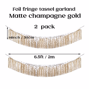Premium Matte Champagne Gold Fringe Tassel Banner for Party Decoration -4 Layers Thick, 2 Pack | LILF Superior Tinsel Garland Party Streamer for Birthday Wedding Graduation Christmas Decoration