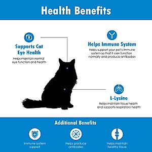 Felisyl L-Lysine Gel for Cats - Immune System Support - Supplement Support for Healthy Tissue, Respiratory, and Vision - Salmon-Flavored - Made in The USA - 15 oz