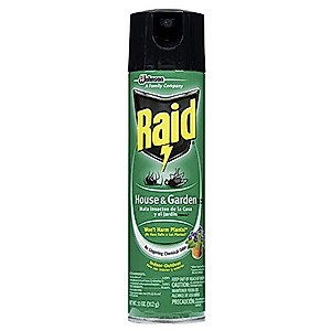 Raid House Garden Bug Killer, 11 OZ (Pack - 3)