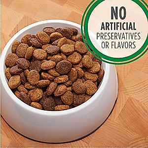 IAMS Adult High Protein Large Breed Dry Dog Food with Real Chicken, 30 lb. Bag