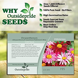 Outsidepride Pyrethrum Tanacetum Chrysanthemum Robinson's Plant Garden Flower Seed Mix - 5000 Seeds