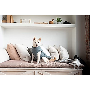 Gooby Sherpa Vest Dog Sweater - Stone Blue, Large - Warm Fuzzy Fleece Step in Dog Jacket Without Ring Leash - Winter Small Dog Sweater - Dog Sweaters for Small Dogs and Medium Dogs for Everyday Use