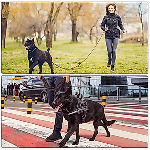 Wellbro 15ft Long Leather Dog Leash,Double Handle Dog Leash,Tieout for Yard, Camping, and Outdoors - Dog Run Cable for Total Control and Off-Leash Feel, Great for Large, Medium, Service Dogs