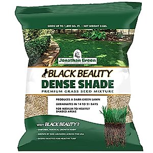Jonathan Green (10600) Black Beauty Dense Shade Grass Seed - Cool Season Lawn Seed (3 lb)