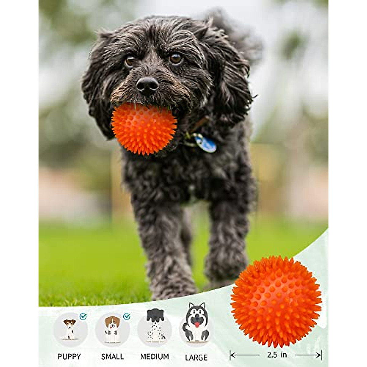 2.5" Squeaky Dog Balls for Small Medium Dogs, 6 Pack Small Dog Chew Toys with Spike, Puppy Toys for Teeth Cleaning and Training