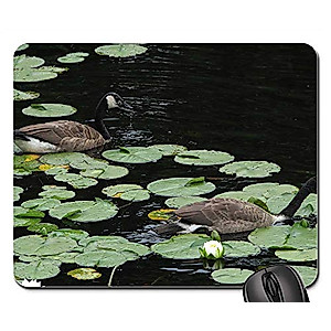 Mouse Pad - Geese Lilly Pads Pond Water Goose Waterfowl