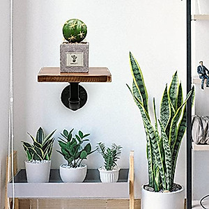 Tonport Rustic Wall Mounted Iron Water Pipe with Wooden Board Bookshelf Display Rack Simple Hanging Iron Water Pipe Floating Shelves