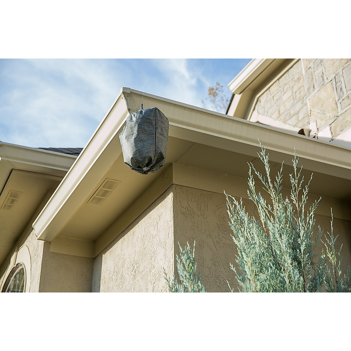 Tanglefoot 300000430 Waspinator