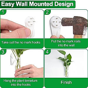 SPORTYOUTH 6Pcs Wall Hanging Glass Planter Terrariums Plant Propagation Stations Desktop Tubes, Large Cylinder Bud Vase Container for Hydroponics Plants Air Plants, Home Office Decor Kit