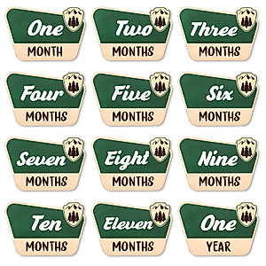 Huray Rayho 12 Pcs National Park Baby Monthly Photo Props Cards Rustic Wooden Baby Months Signs Adventure Theme Newborn Photography Props for Baby Shower Mountain Hiking Lovers Pregnancy Gift