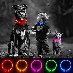 iTayga LED Dog Collar USB Rechargeable Light Up Dog Collar Adjustable TPU Pet Collars for Large Medium and Small Dogs (Blue)