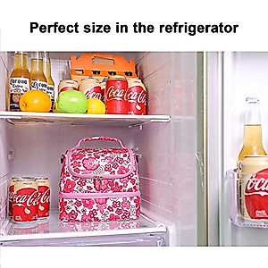 MIER 2 Compartment Kids Small Lunch Box Bag for Boys Girls Toddlers, Adult Leakproof Cooler Insulated Lunch Tote with Shoulder Strap (Pink Flower)