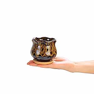 Cute Ceramic Succulent Garden Pots, Planter with Drainage and Attached Saucer, Set of 5 - Plants Not Included (Fambe)