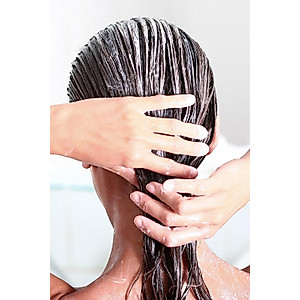 Hairmax Density Hair Care Set - For Thinning Hair - Invigorating Shampoo, Conditioner & Hair Booster - For Men & Women - 2 Bottles (2 fl oz) & 1 Bottle (1 fl oz)