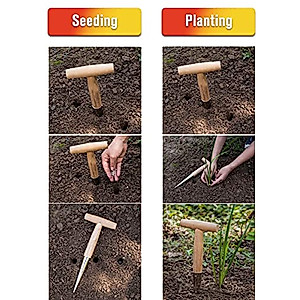 Gardtech Hand Dibber with Wooden Handle, Chrome Coated Stainless Steel Head - Lightweight Sturdy Hand Held Bulb Planter for Tulip Daffodil Crocus Garden Tool (Dibber)