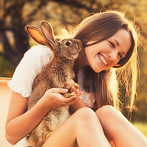 Sherwood Pet Health Digestive Support, Papaya (100 Tablets - 60 Grams). Contains Natural Motility Herbs That Regulate The Digestive Tract, Improve The Gut microbiome and Stimulate The Appetite.