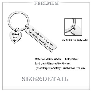 FEELMEM Dietitian Gift Nutrionist Gift Dietitian Appreciation Keychain The Influence of a Great Dietitian Can Never Be Erased Jewelry for Registered Dietitian Dietician (silver)