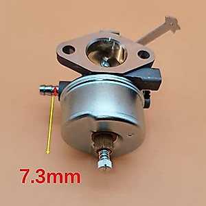 Carburetor Carb Compatible with Tecumseh HHM80 HM80 HM100 1072 4-Cycle Horizontal Engine 632325 D250