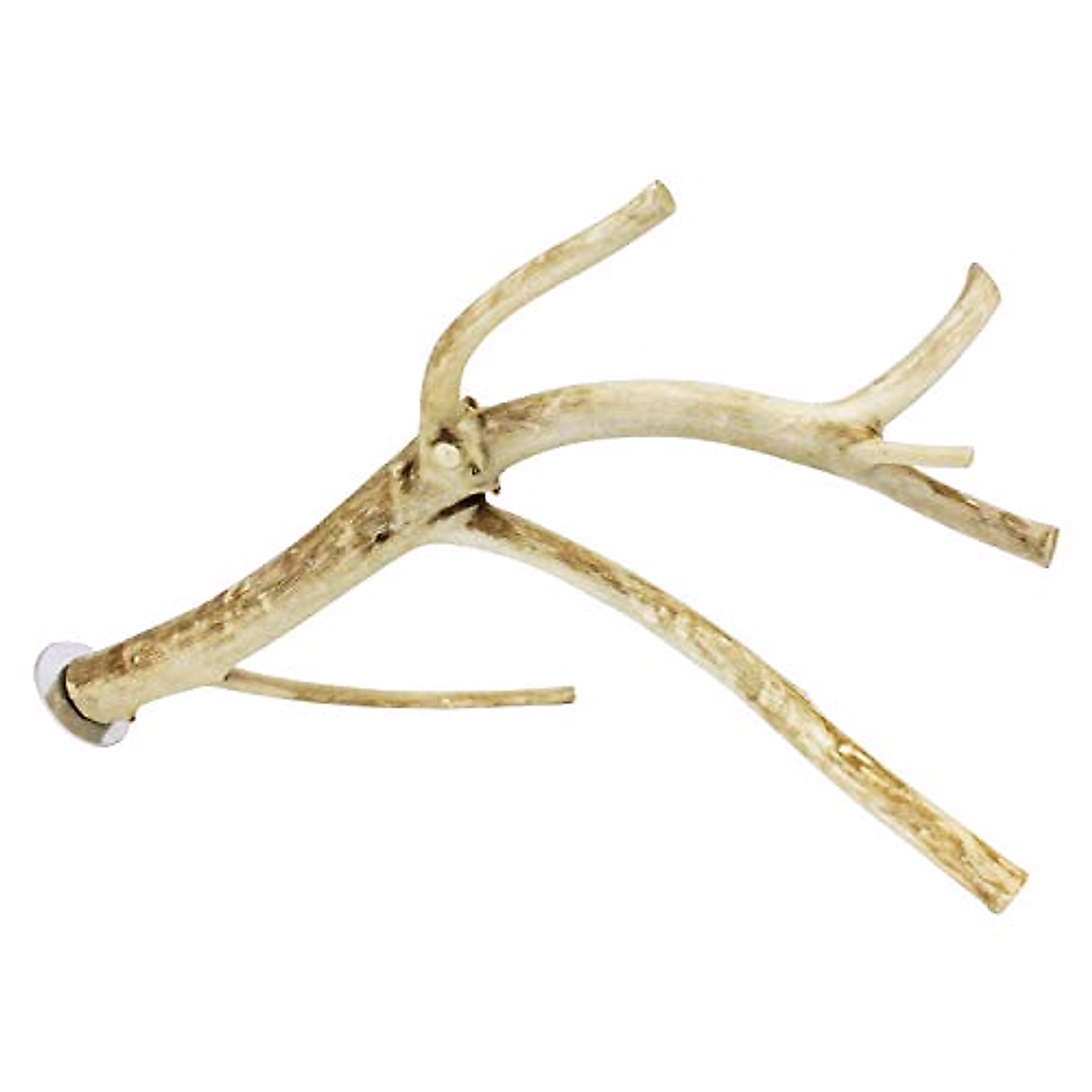 Multi-Branch Perch (Medium) - Durable Natural Climbing Branch Perch Cage Accessory - Sugar Gliders, Squirrels, Prairie Dogs, Degus, Marmosets, Monkeys, Parrots, Birds, Rats, Reptiles, Amphibians